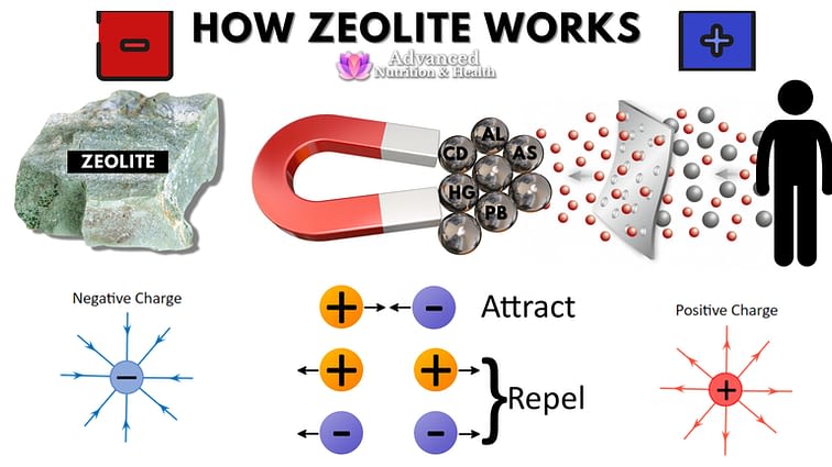 Heavy Metal Detox With Zeolites: Dosage, Particle Size