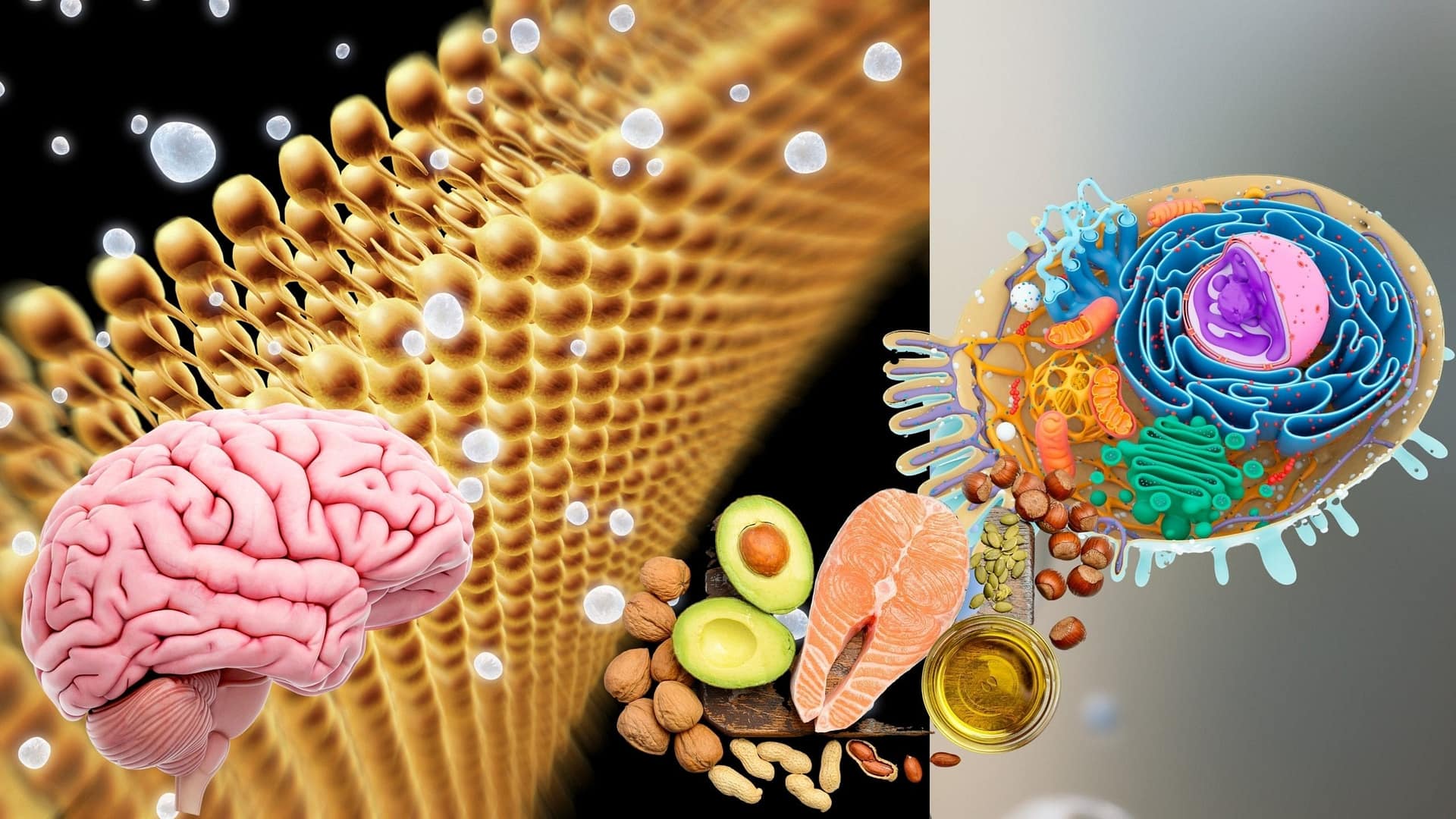 The 3 Biggest NUTRITION MYTHS Of All Times! Shocking Facts.