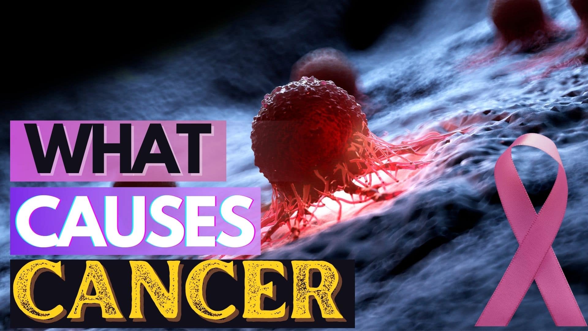 What Is Cancer And What Causes It? Diet, Toxins, Stress